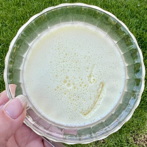 Inulin - The Blood Sugar Diet by Michael Mosley